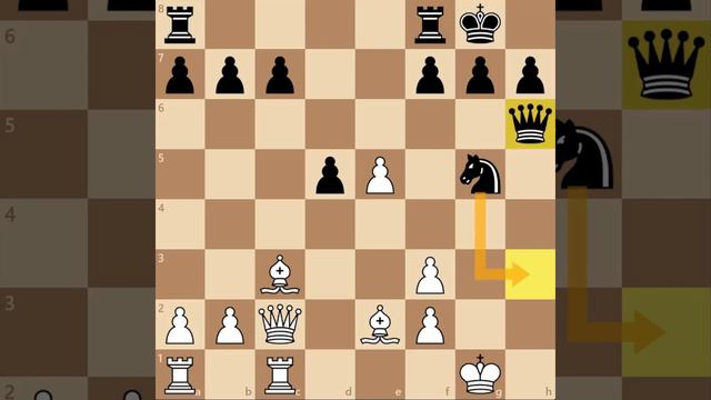 Громкая итальянская- модное продвижение e5