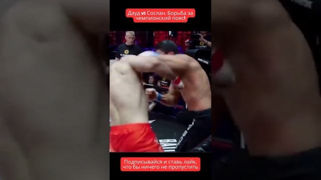 Дауд vs Сослан. Борьба за чемпионский пояс!#fight #mma #popmma #reels #shorts #ufc #ufc4