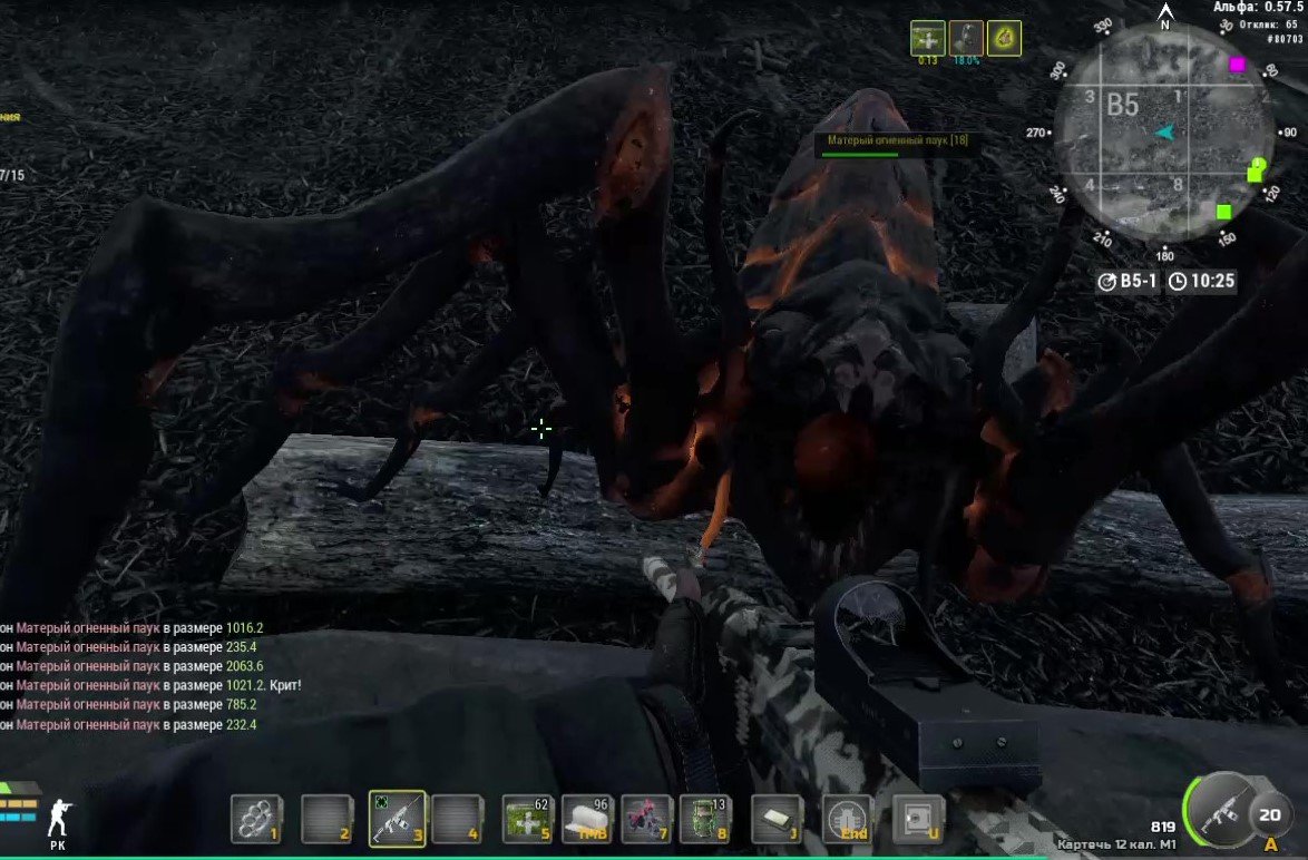 Огненые пауки Побережья ОбзорчиГ