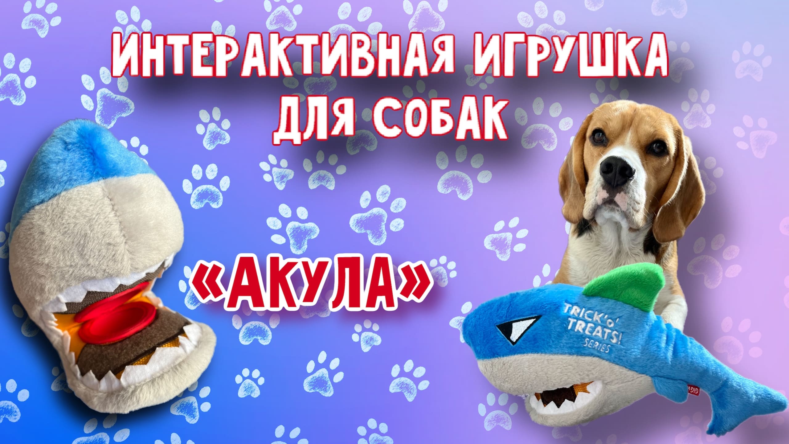 Игрушка для собак акула от Gigwi (гигви)