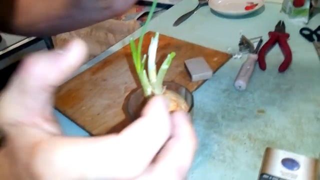 ТОК-ШОУ "Пати на хате" Туса№19  "Цветковед Денис"(Серия4)