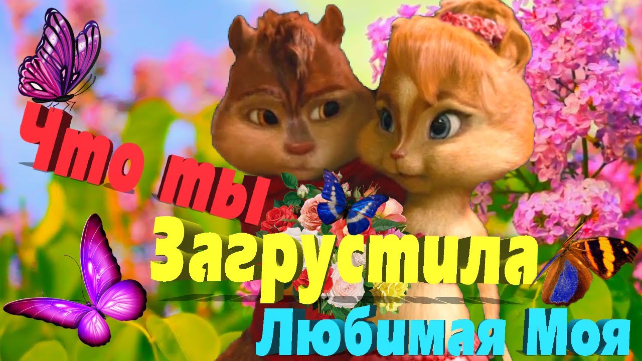 Нет на свете Милая ? Таких как ты Любимая ❤ Ну Очень Мило просто слов нет ? Бурундучки с Любовью ?