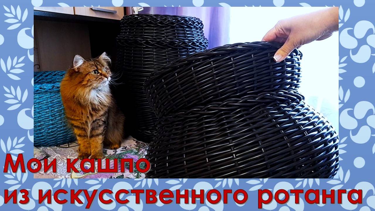 Мои кашпо из искусственного ротанга. Разнообразие форм и материалов