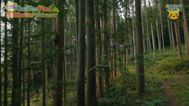Pokémon Fun Video - Can You Find 11 Different Pokémon (Waterfall, Forest & Mountain ver.)