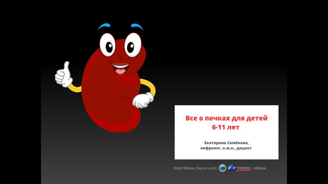 Все о почках для детей 6-11 лет