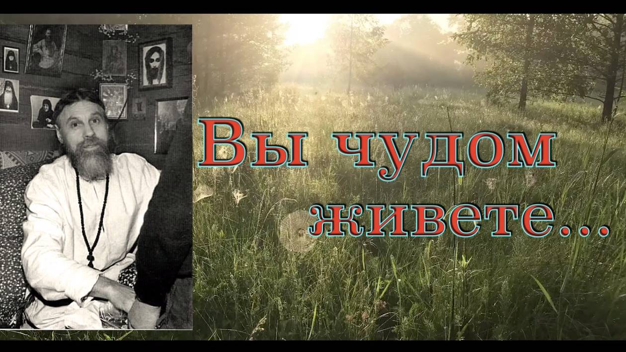 ВЫ ЧУДОМ ЖИВЕТЕ! Старец ВИТАЛИЙ Сидоренко