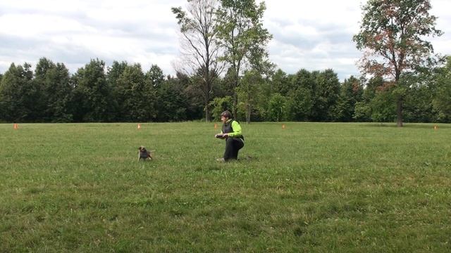 ЗахватДиски Комбо Татьяна и Марик.mp4