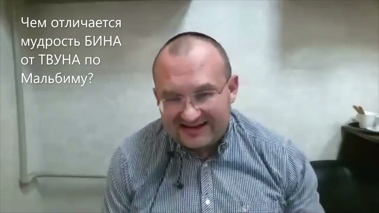 Чем отличается понимание БИНА от ТВУНА по Мальбиму? Недельная глава Ваякэль