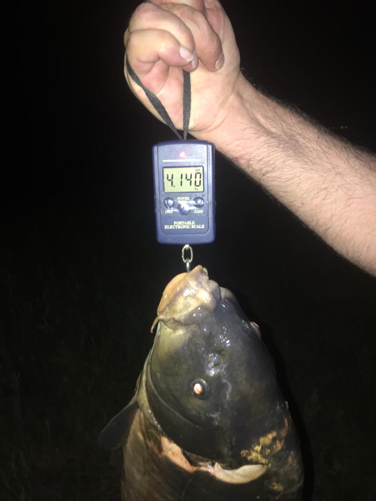 Два Серёги. Часть 2я