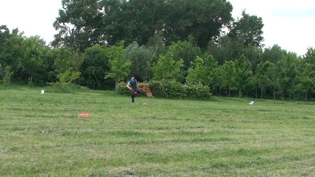 Захватывающие диски Алия и Ирвин.mp4