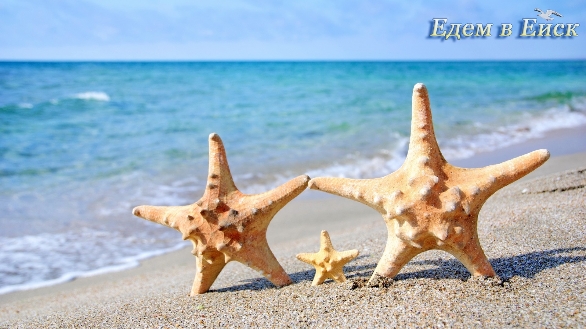 Отдых в Ейске: недорогой двухкомнатный домик!