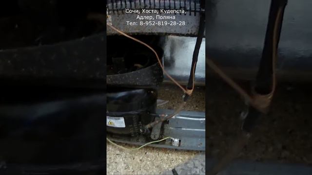 Холодильник Бирюса отзывы мастеров