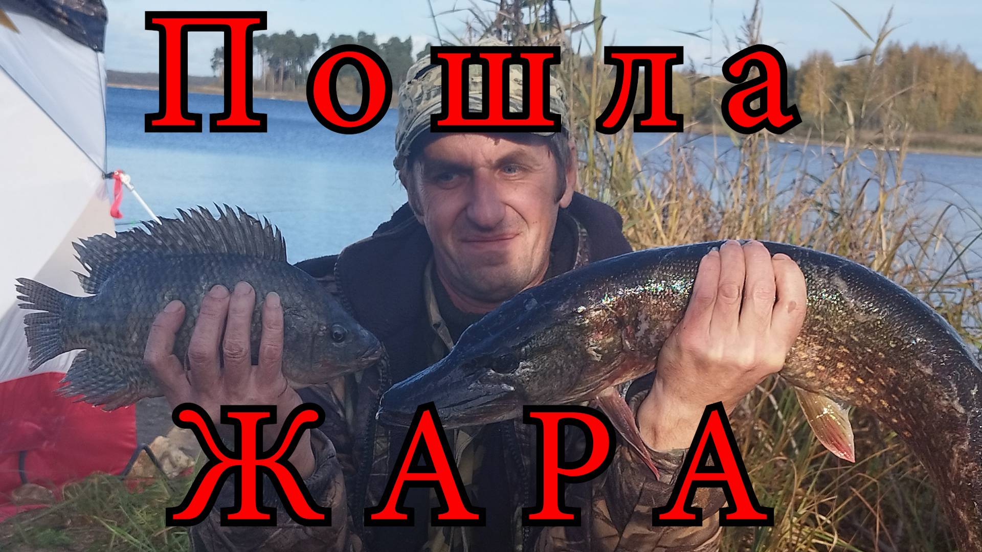 Пошла жара. Открытие сезона на фидер по Телапии на Чудо-Озеро Удомля. Рыбалка2023. Осенью на фидер.