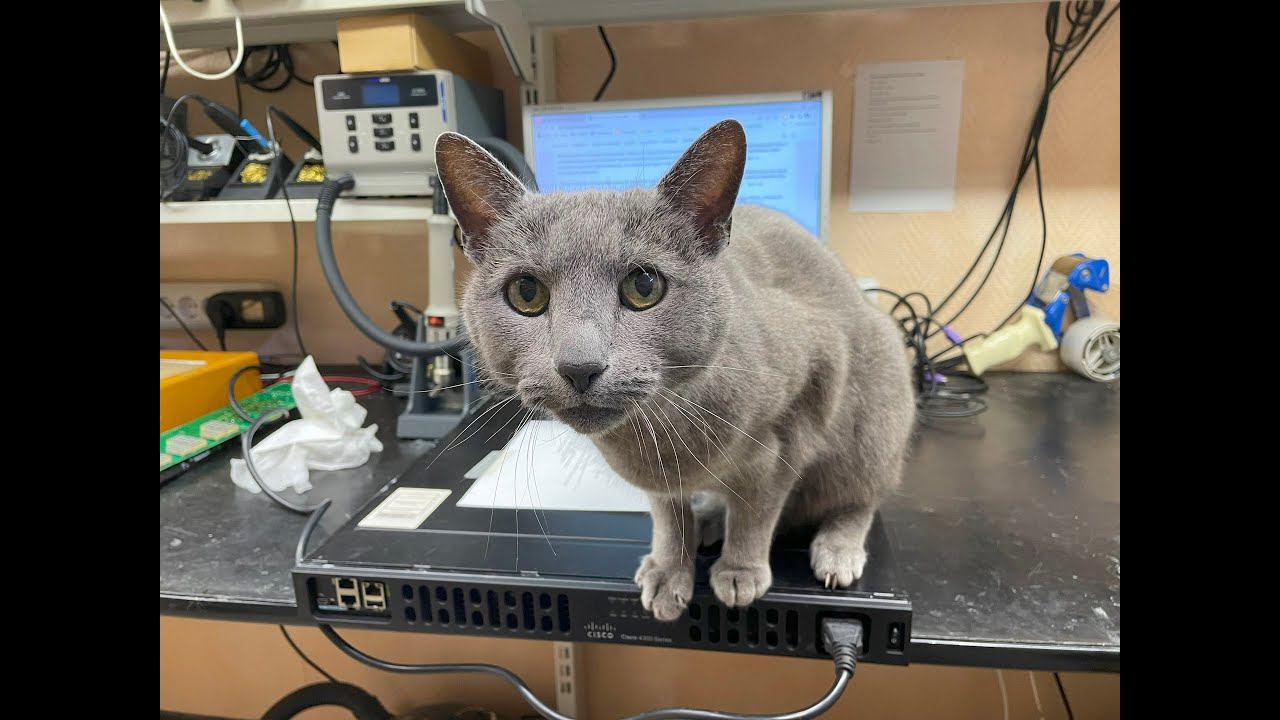 Ремонт Cisco ISR4331 и других аппаратов на процессорах Atom CXXX. Processor issue fix