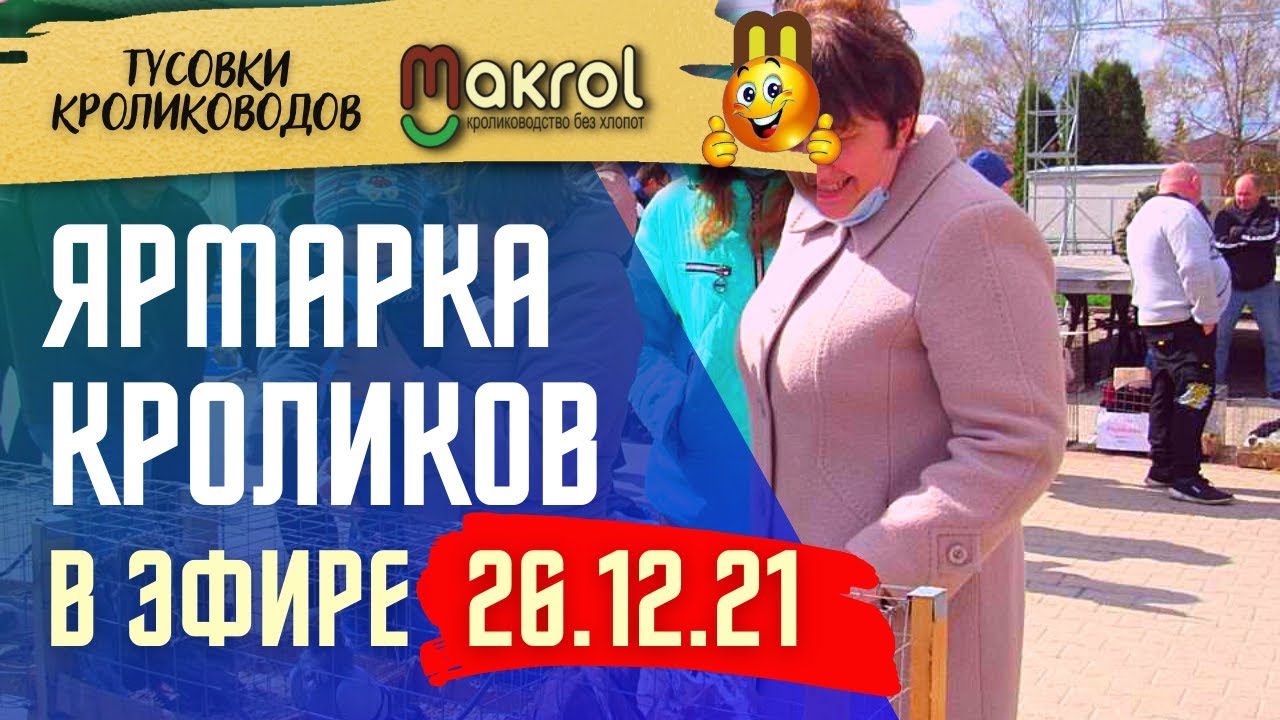 ?26.12.2021?Выставка-ярмарка кроликов в прямом эфире  Кропоткин Макляк Макрол.mp4
