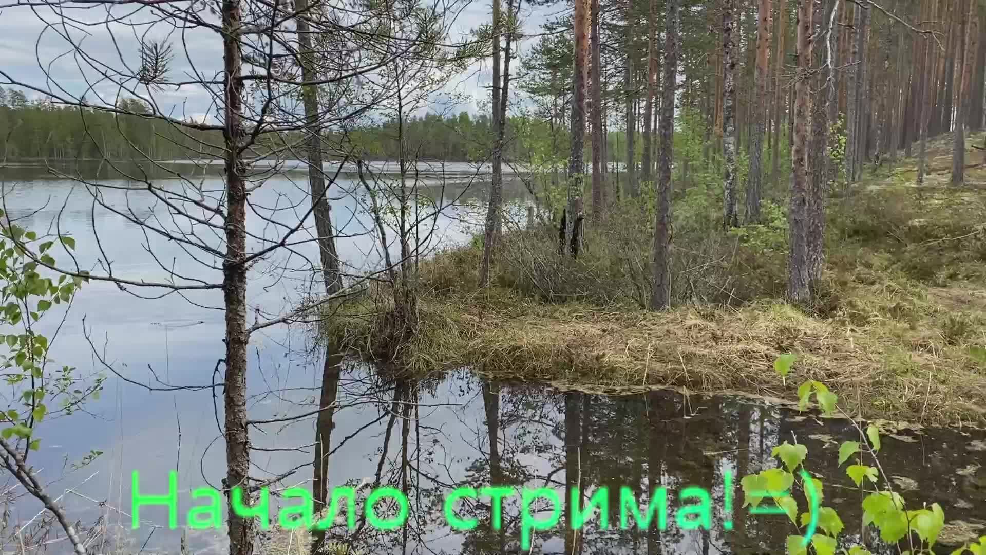 Farlight 84 или с дальним светом,да в пати=)