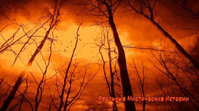 Очень красивое видео, гроза сквозь лес