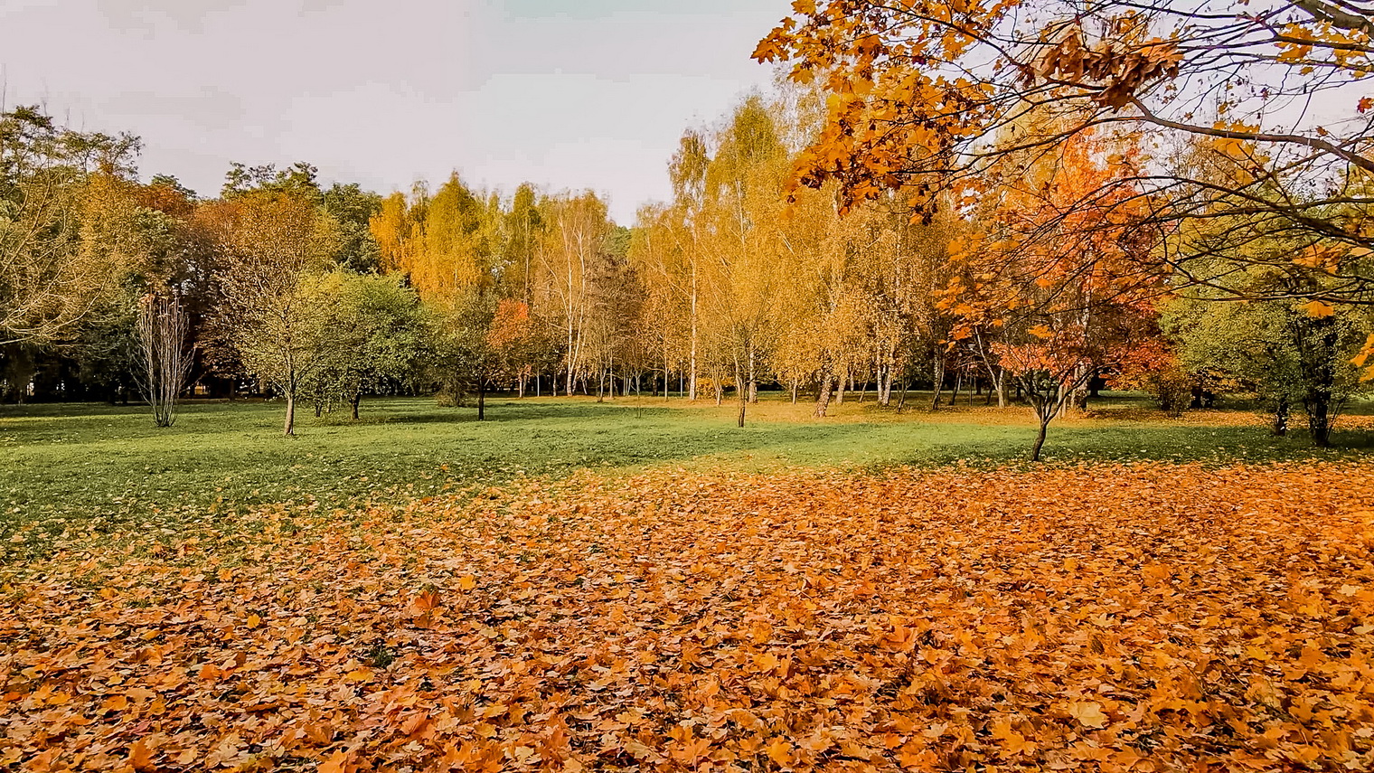 Осенняя мелодия души