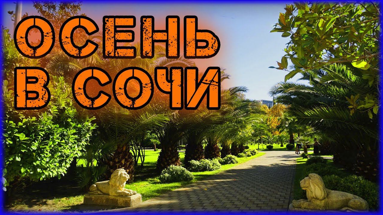 Осень в Сочи, санаторий Радуга, Сочи, Листопад, сочи видео.