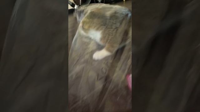 НАКА?ДИСКО БАРИ