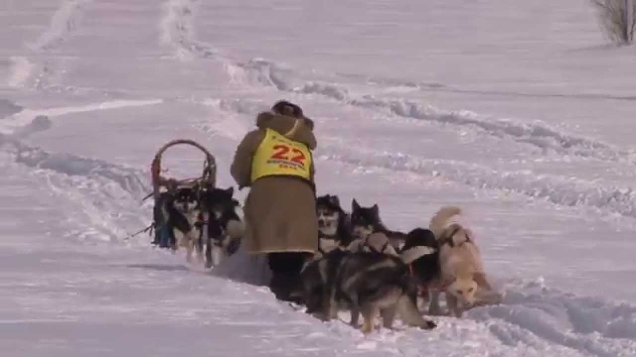 «Берингия», как средство передвижения.