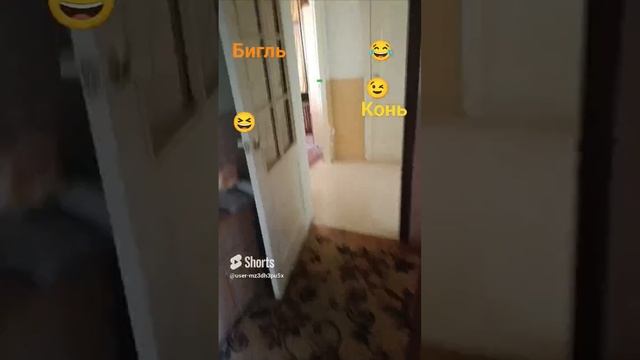 Лаки сходит с ума ??