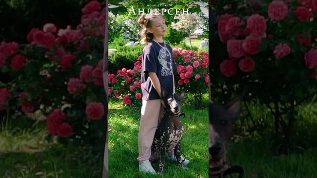 1243201фт06 и 1243208бр22