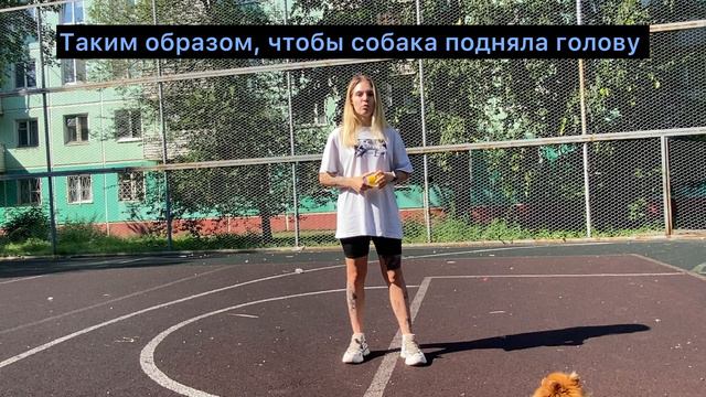 2. Знакомство с запахом. Ноузворк