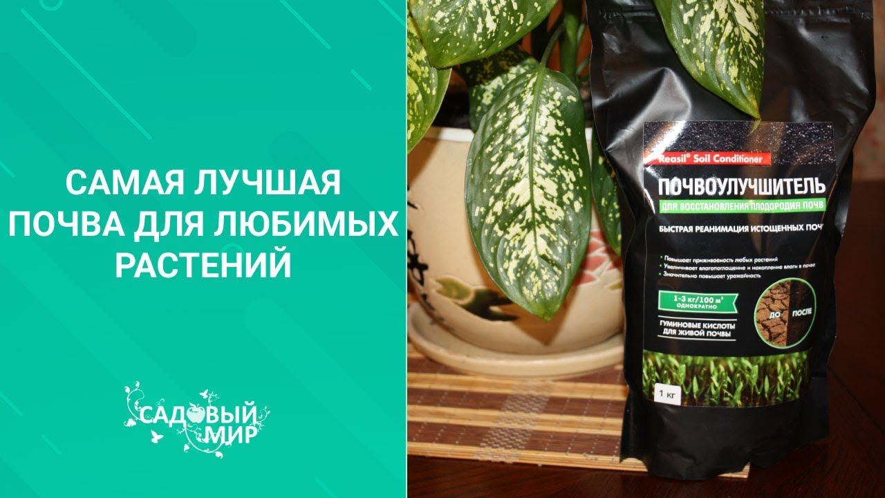 Самая лучшая почва для  домашних любимых растений