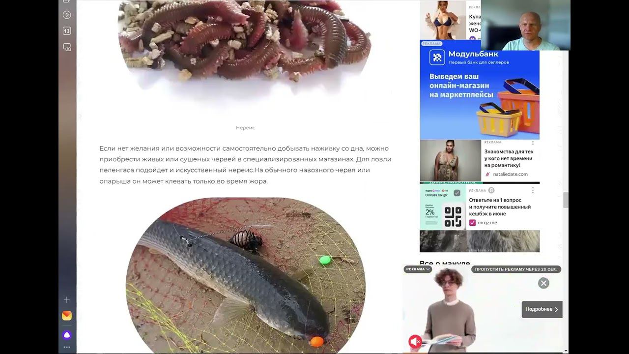 Падение трафика на сайте: разбор