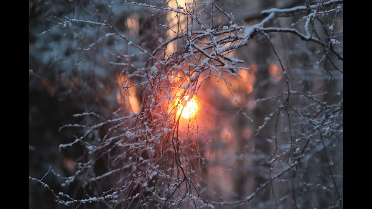 Родня в Ба Цзы