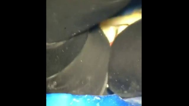 2020_06_10_Хлороформ и сольвенты. Как сидеть за микроскопом. И другое