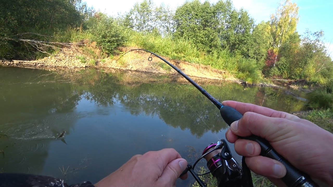 РЫБАЛКА НА ТАЁЖНОЙ РЕЧКЕ. КРАСИВАЯ ПРИРОДА. КОНКУРС ДЛЯ ПОДПИСЧИКОВ. УЕДИНЕНИЕ С ПРИРОДОЙ..mp4