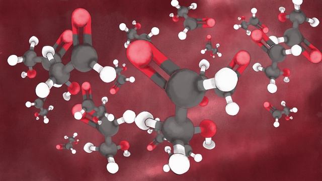 10 - Модные диеты