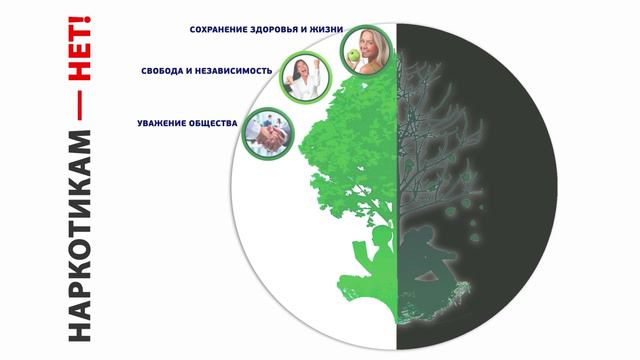 Жизнь без наркотиков