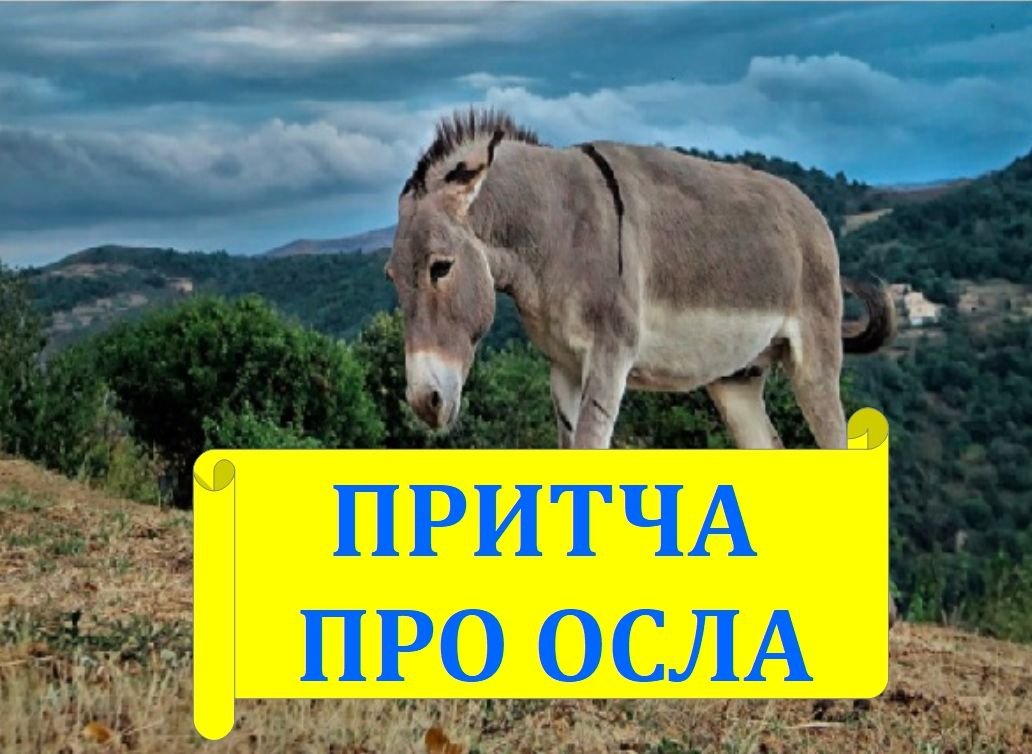 Притча про осла. 13 подкаст. Истории древнего Китая