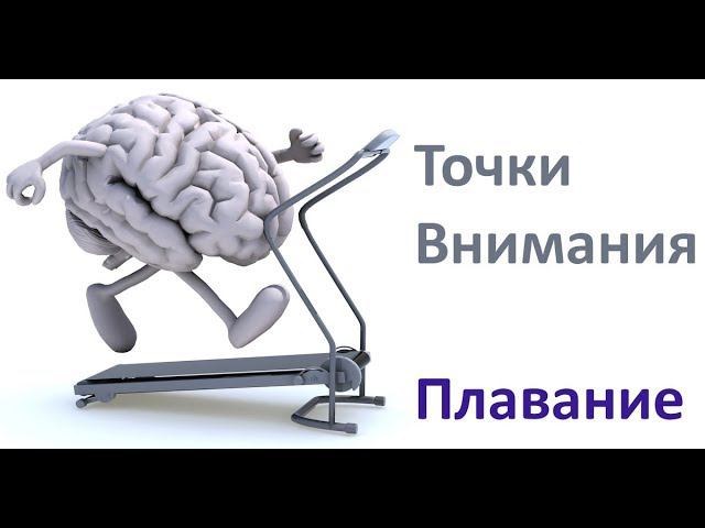 Точки внимания на тренировках по плаванию