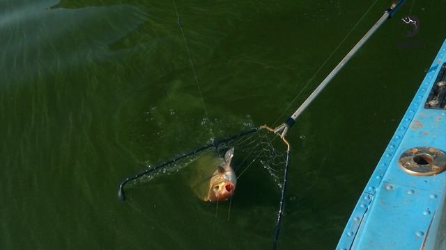 Рыбалка в Пермском крае. 4 сезон. Анонс. Канал Рыболов.