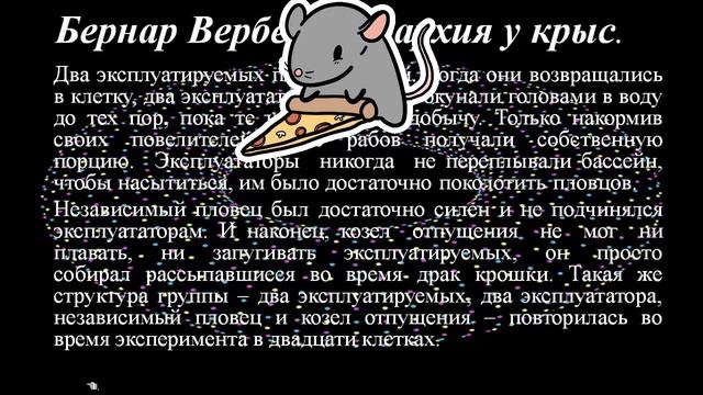 Иерархия у крыс