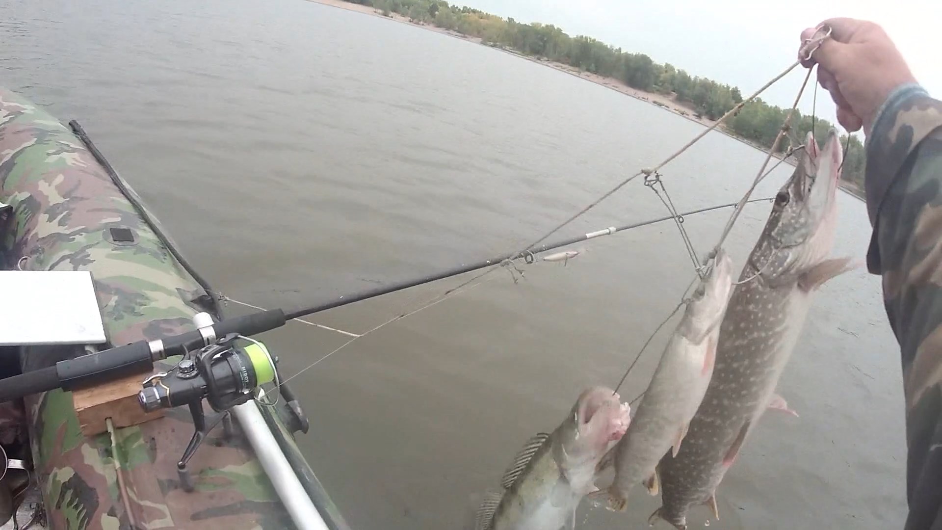 Фильм! Один день с Владимиром Курочка на р.Иртыш г.Омск 07.09.2021 г, Рыбалка спиннингом, троллинг.