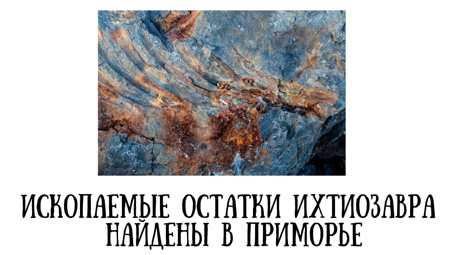 В Приморье школьники нашли ихтиозавра