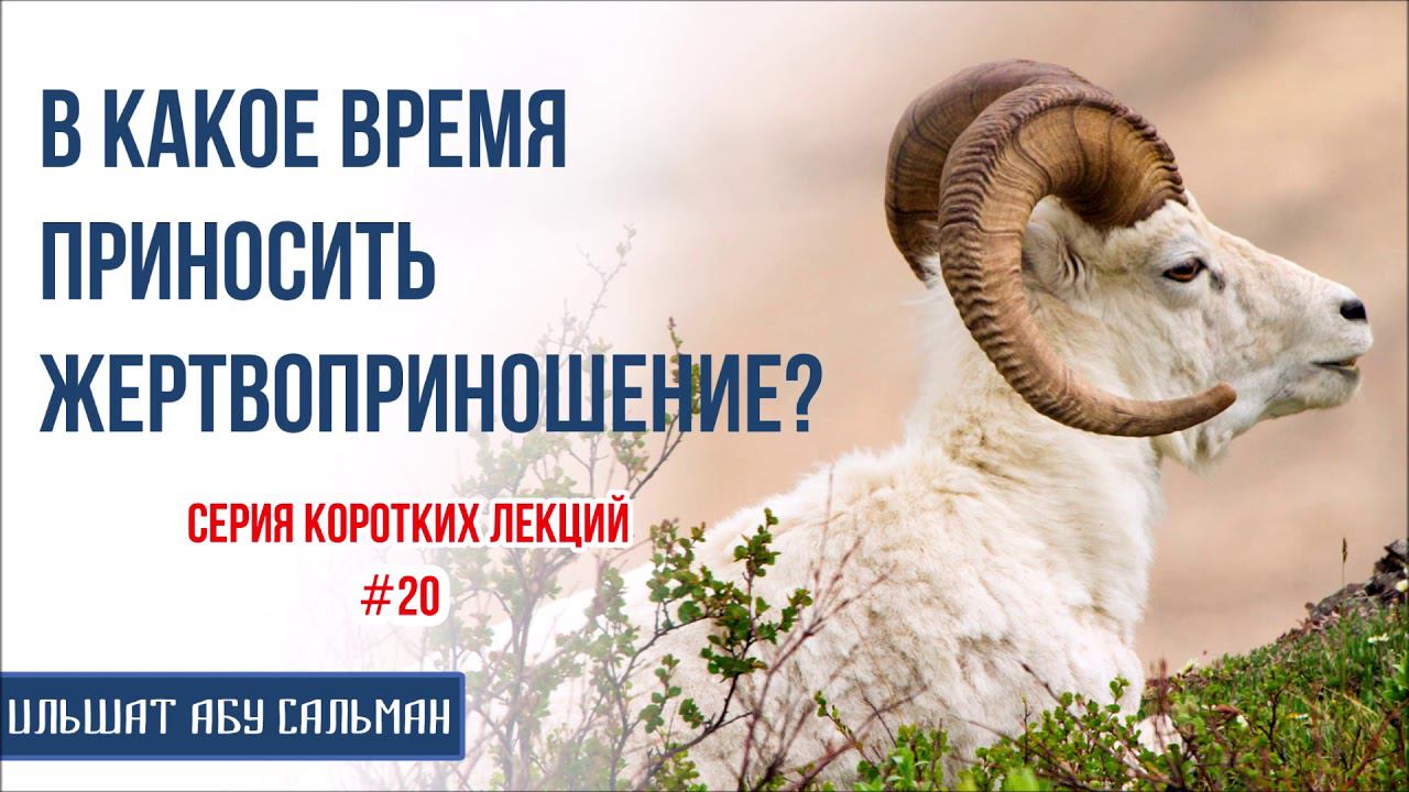 Ильшат Абу Сальман. В какое время приносить жертвоприношение? Серия лекций Курбан-Байрам
