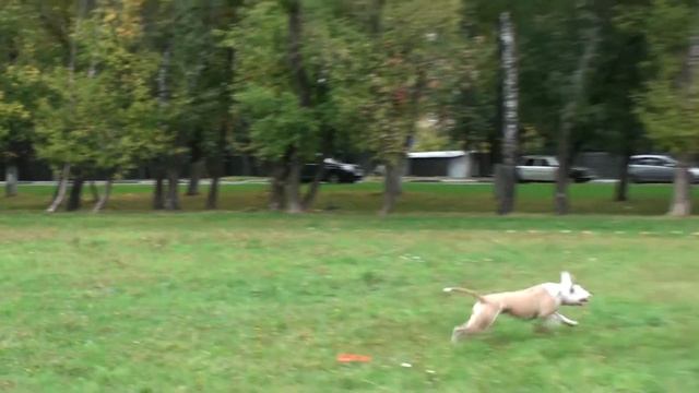 Чемпионат России Фристайл Татьяна и Соня.mp4