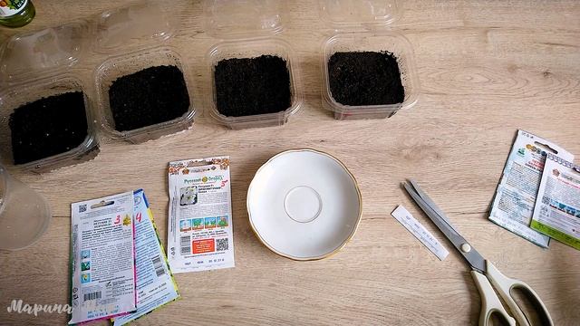 Обзор. Что я сею в марте. Посев цветов.