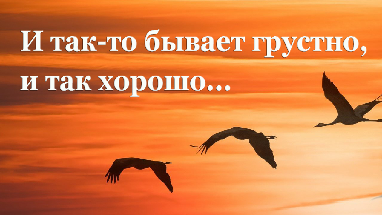 🍁 М. Пришвин. Осеннее утро | 2 класс | Аудиорассказы