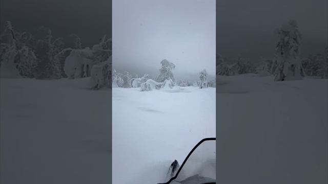 Тур "Подкова Урала" на снегоходах