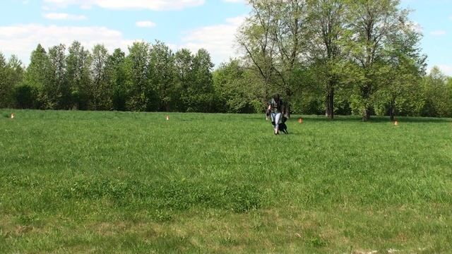 ТУРНИР ПОБЕДЫ. Татьяна и Пуля.mp4