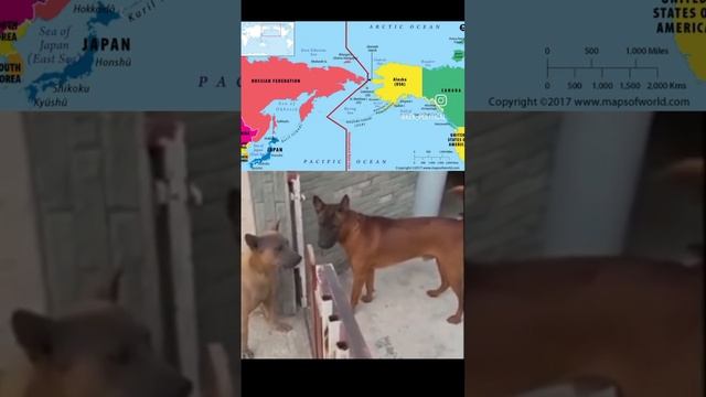 Ожидание и реальность. Россия и США.