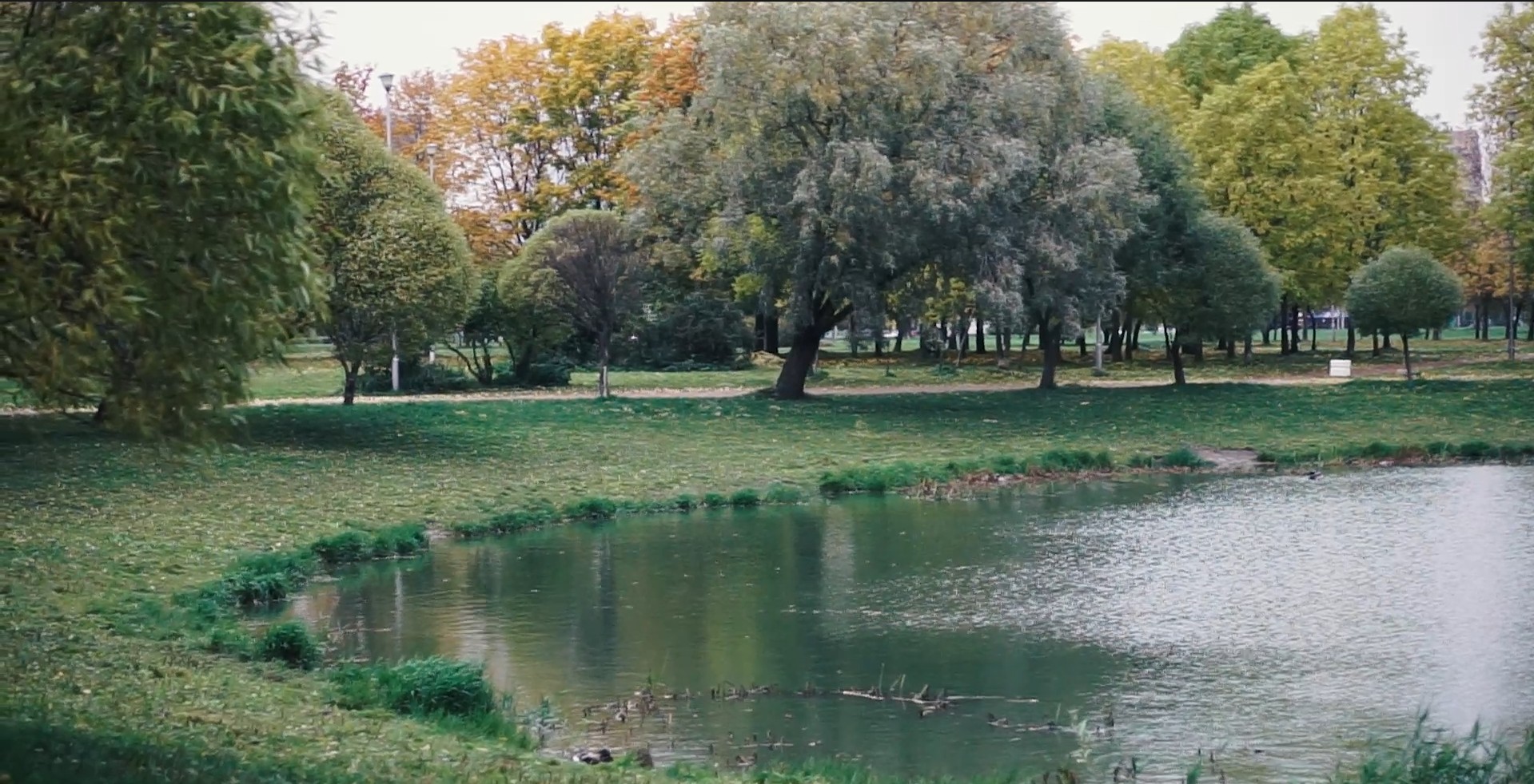 "Район в деталях", 2 выпуск