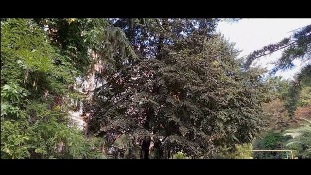 Мини-студия для летнего отдыха сдается